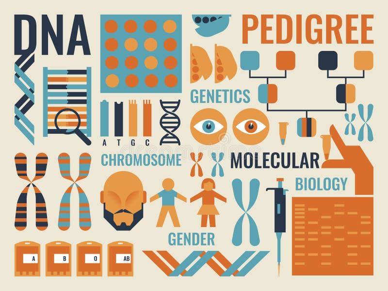 Biology Stock Illustrations – 272,963 Biology Stock Illustrations ...