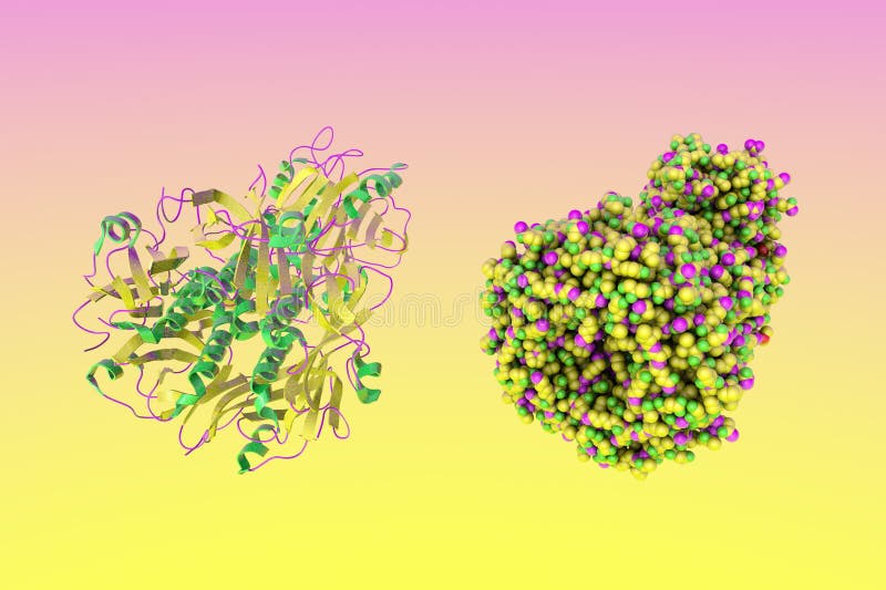 Molecular and Crystal Structure of Typhoid Toxin Produced by Bacterium ...