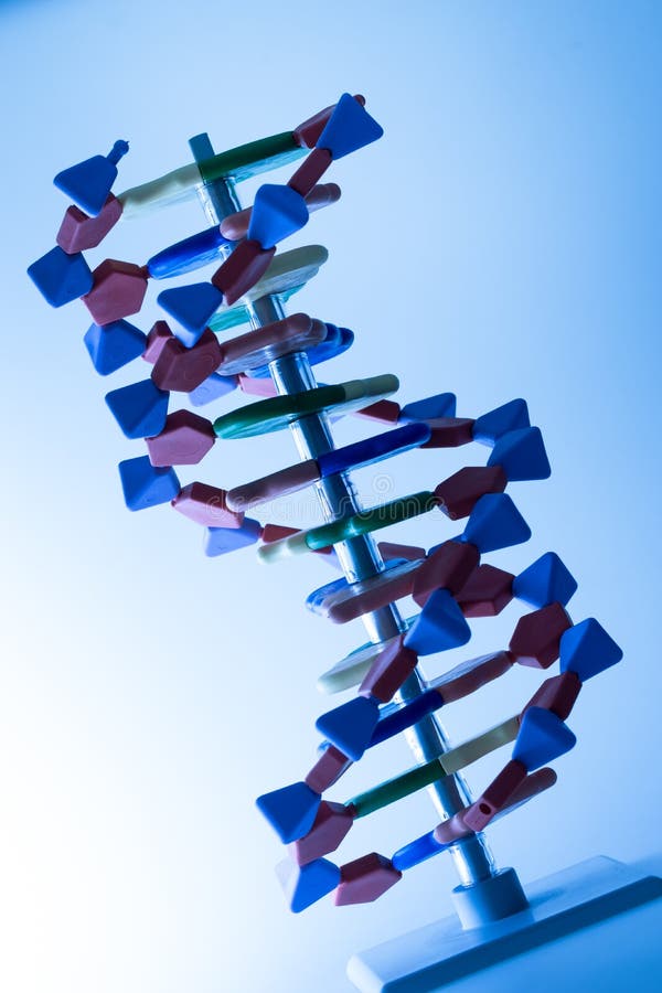 Molecular, DNA and Atom Model in Science Research Lab Stock Photo ...