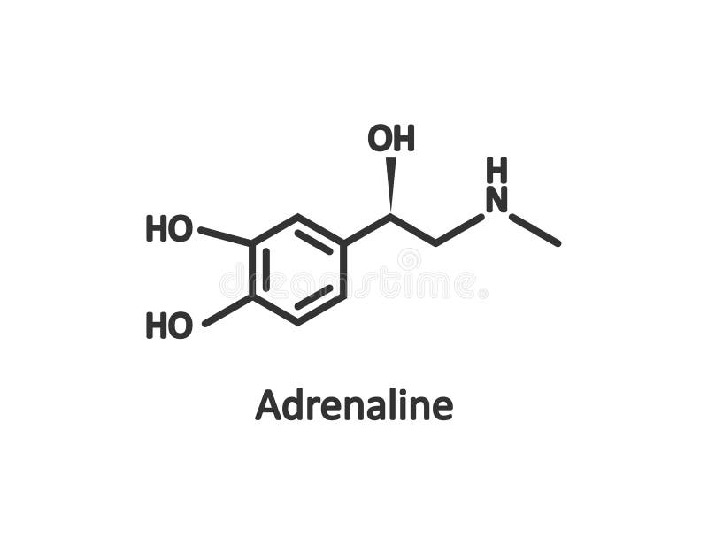 Molecular Formula of Adrenaline Icon. Structure of Molecule Epinephrine ...