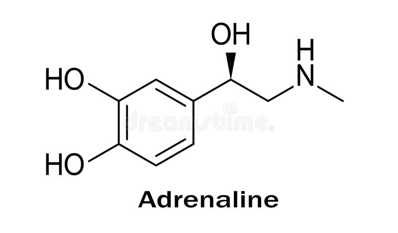 Chemical Molecular Formula Adrenaline Hormone Hormone Fear Stock ...