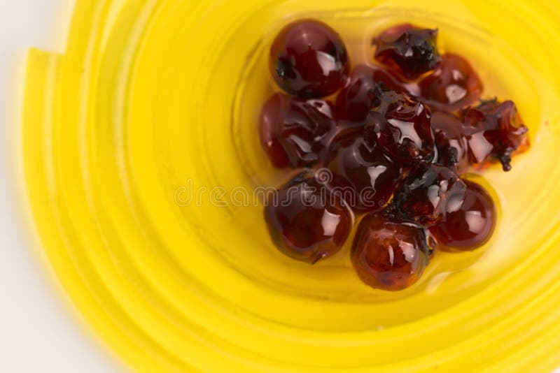 Molecular fruit spaghetti stock photo. Image of spaghetti - 58857142