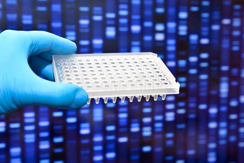 Molecular Genetics and Biotechnology. Stock Photo - Image of discovery ...