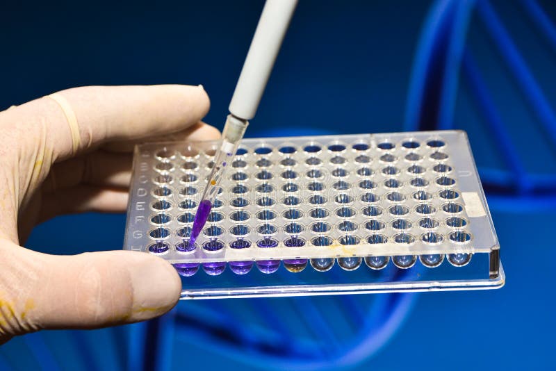 Molecular Genetics and Biotechnology. Stock Image - Image of chemistry ...