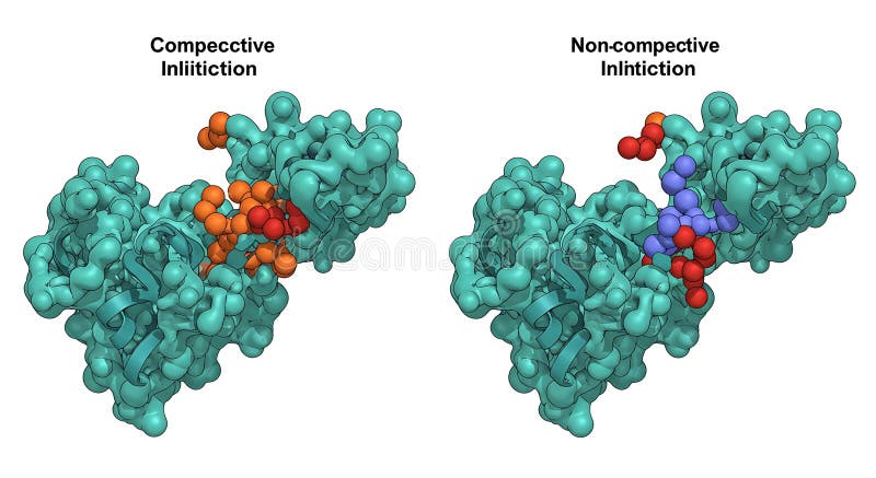 Molecular Inhibition Models Showing Competitive and Non Competitive ...
