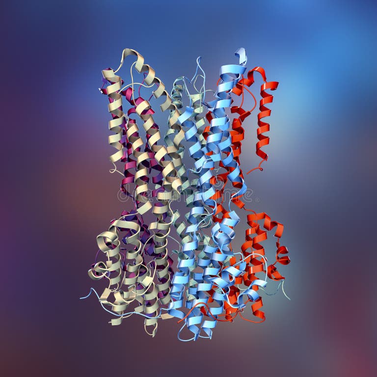 Molecular Model of Bestrophin-1 Protein Best 1, 3D Illustration. a ... Molecular Model of Bestrophin-1 Protein Best 1, 3D Illustration. a ...
