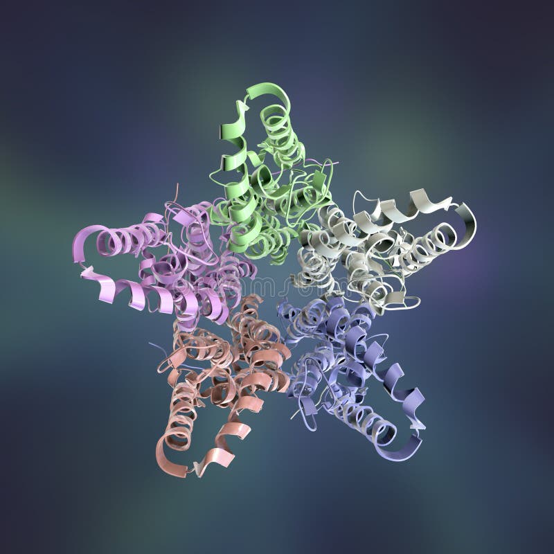Molecular Model of Bestrophin-1 Protein Best 1, 3D Illustration. a ... Molecular Model of Bestrophin-1 Protein Best 1, 3D Illustration. a ...