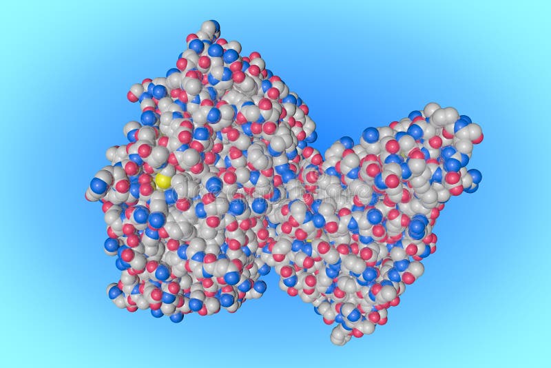 Molecular Model of Cholera Toxin. Atoms are Represented As Spheres with ...