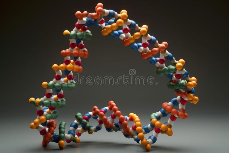 Molecular Model of the Double Helix, with Each Strand Rendered in ...