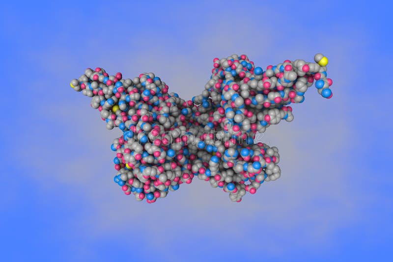 Molecular Model of Fibroblast Growth Factor 1 (FGF1) in Complex with ...