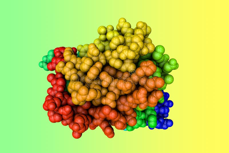Molecular Model of Human Anaplastic Lymphoma Kinase (ALK) in Complex ...