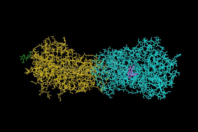 Molecular Model of Human Antithrombin-III. Rendering with Differently ...
