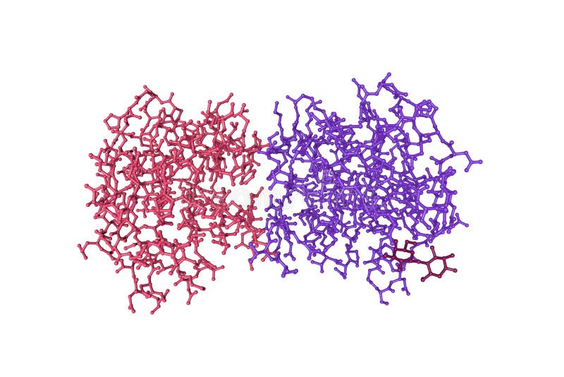 Sugar Chains Stock Illustrations – 32 Sugar Chains Stock Illustrations ...