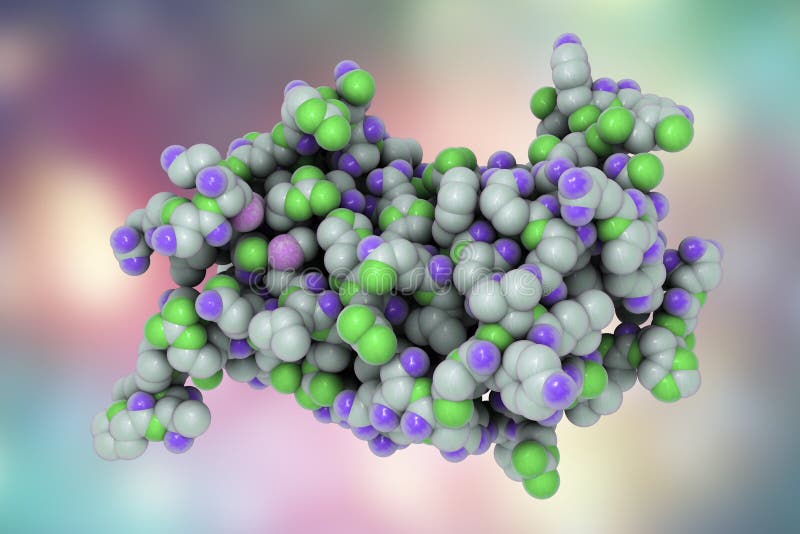 Molecular Model of Human Growth Hormone Stock Illustration ...