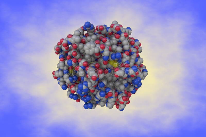 Space-filling Molecular Model of Human Thrombin-inhibitor Complex ...
