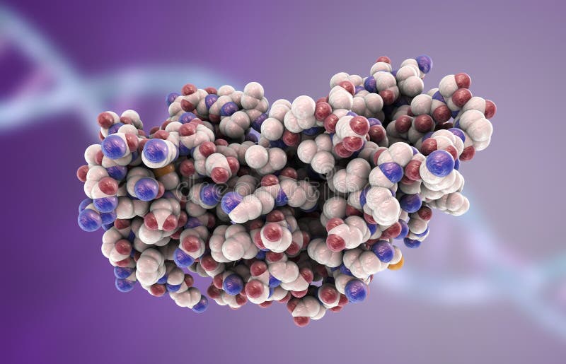 Molecular Model of Interferon-gamma Stock Illustration - Illustration ...