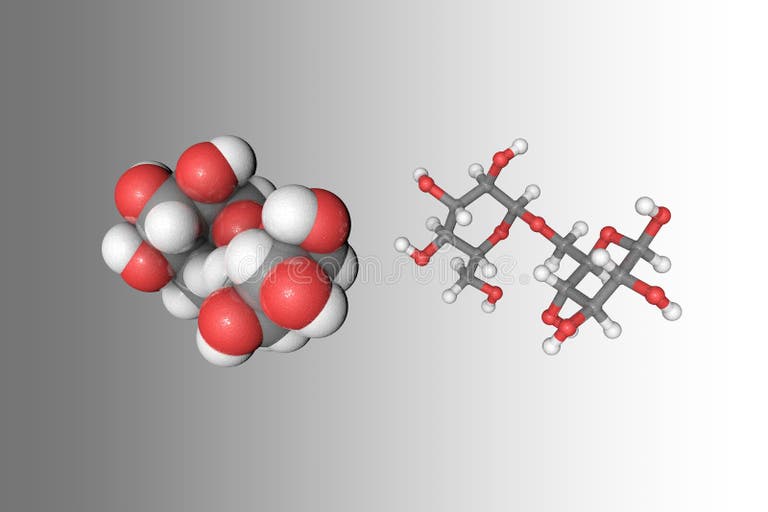 Molecular Model of Isomaltose. Atoms are Represented As Spheres with ...