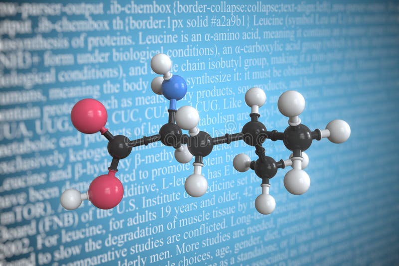 Molecular Model of Leucine, 3D Rendering Stock Illustration ...