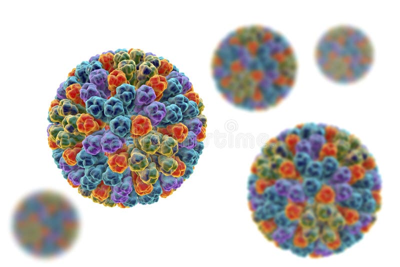 Molecular Model of a Rotavirus Which Causes Diarrheal Infection in ...