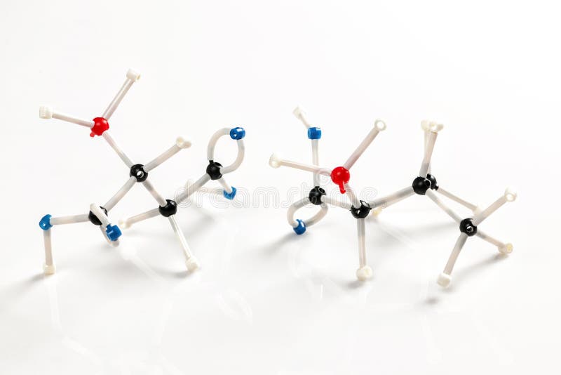 Molecular Models of Two Amino Acids Stock Photo - Image of close, model ...