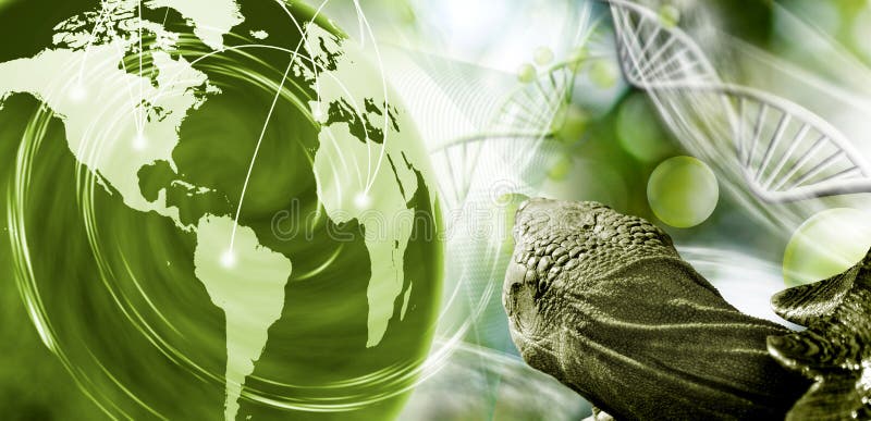 Molecular Structure,chain of Dna, Abstract Planet and Turtle on a Green ...