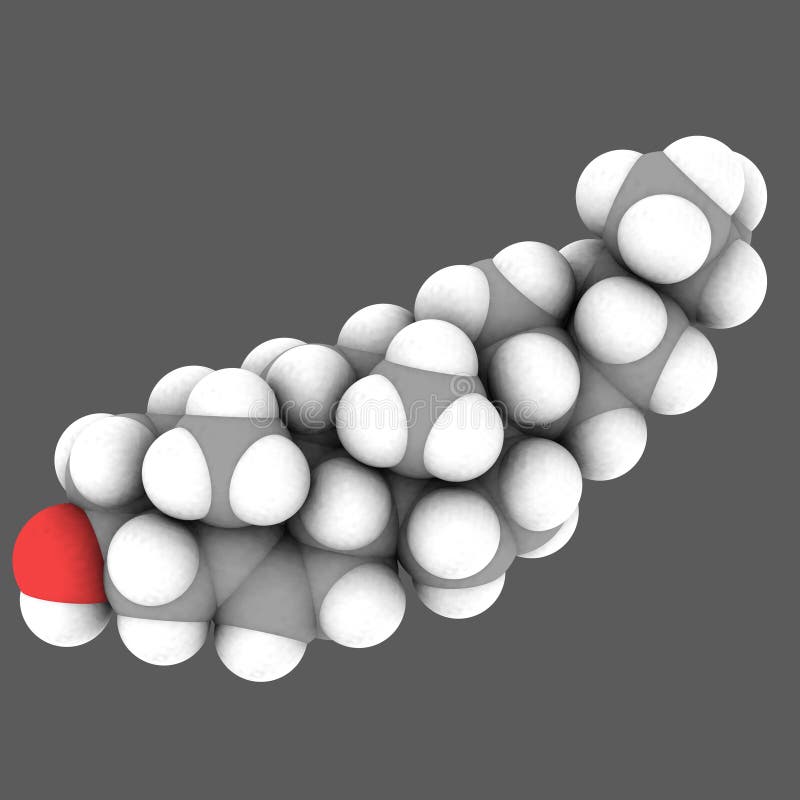 Molecular Structure of Cholesterol on White Stock Illustration ...