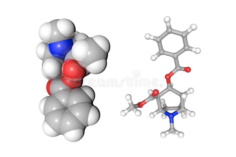 Molecular Structure of Cocaine. Atoms are Represented As Spheres with ...