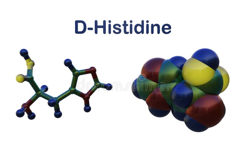 Molecular Structure of D-histidine, an Optically Active Form of ...