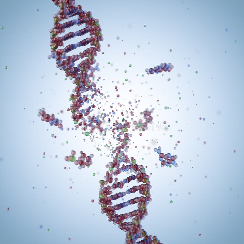 Molecular Structure of DNA. 3D Rendering Stock Illustration ...