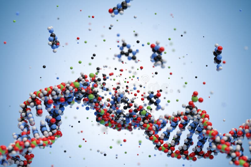 Molecular Structure of DNA. 3D Rendering Stock Illustration ...