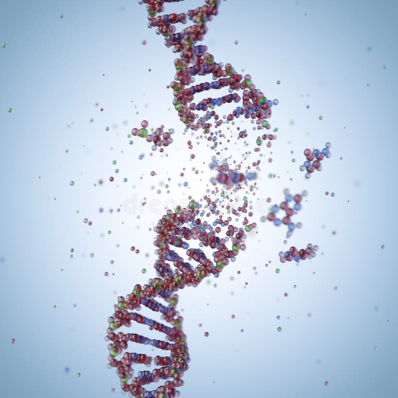 Molecular Structure of DNA. 3D Rendering Stock Illustration ...