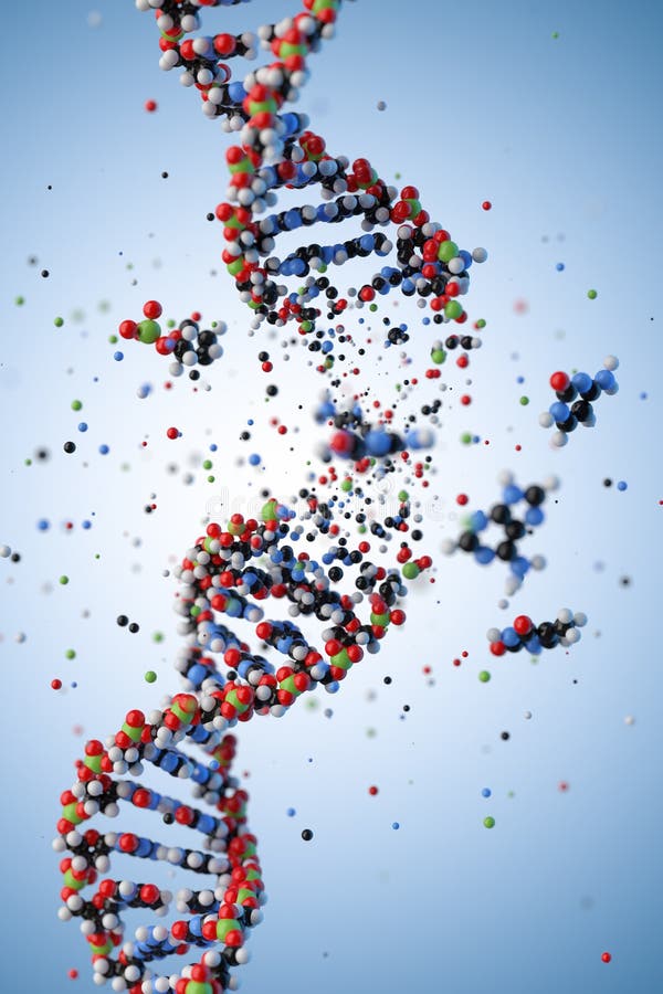 Molecular Structure of DNA. 3D Rendering Stock Illustration ...