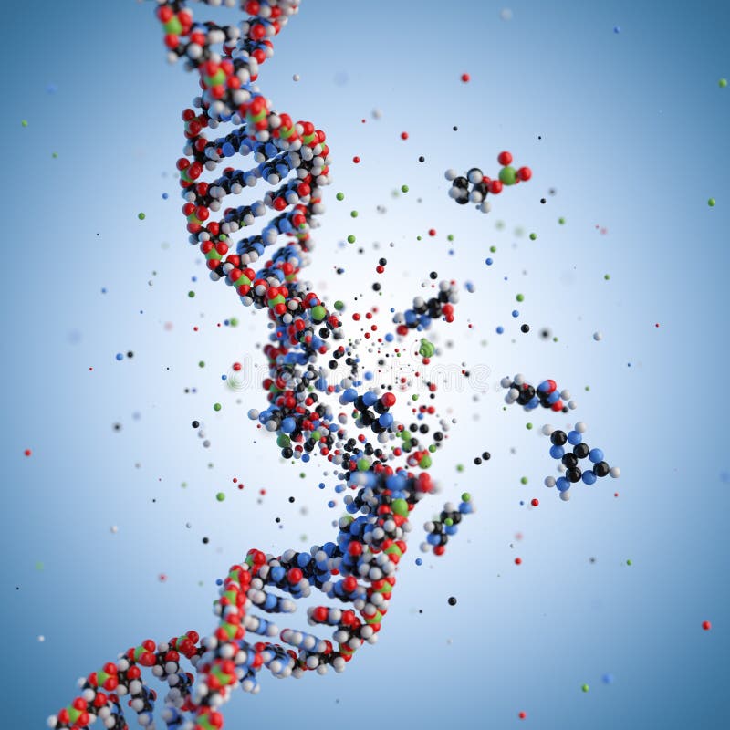 Molecular Structure of DNA. 3D Rendering Stock Illustration ...