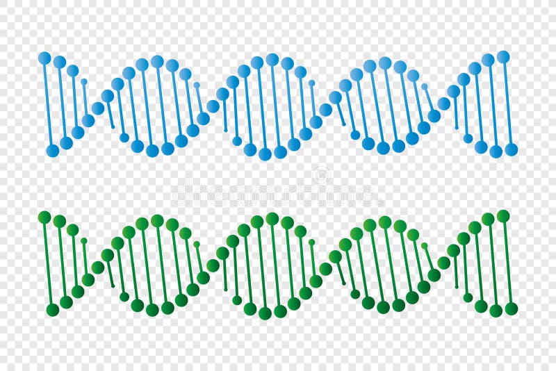 Molecular Structure DNA. DNA Spiral Symbol Stock Illustration ...