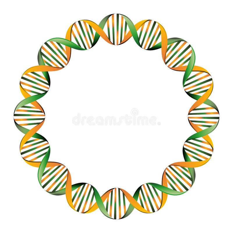 Molecular structure of DNA stock vector. Illustration of eps10 - 81053256