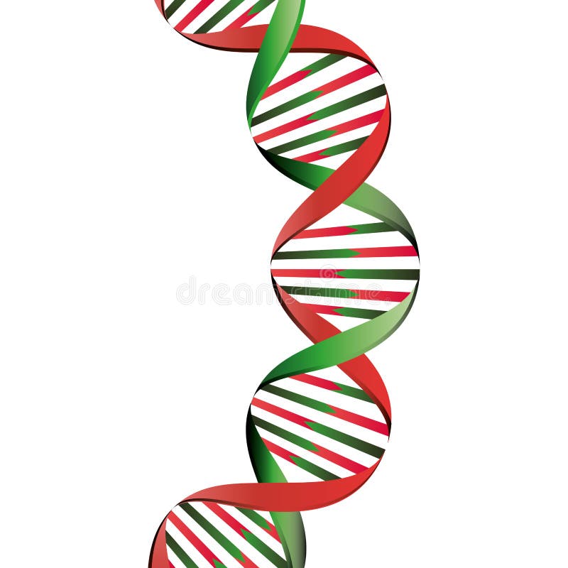 Molecular structure of DNA stock vector. Illustration of healthy - 81057068