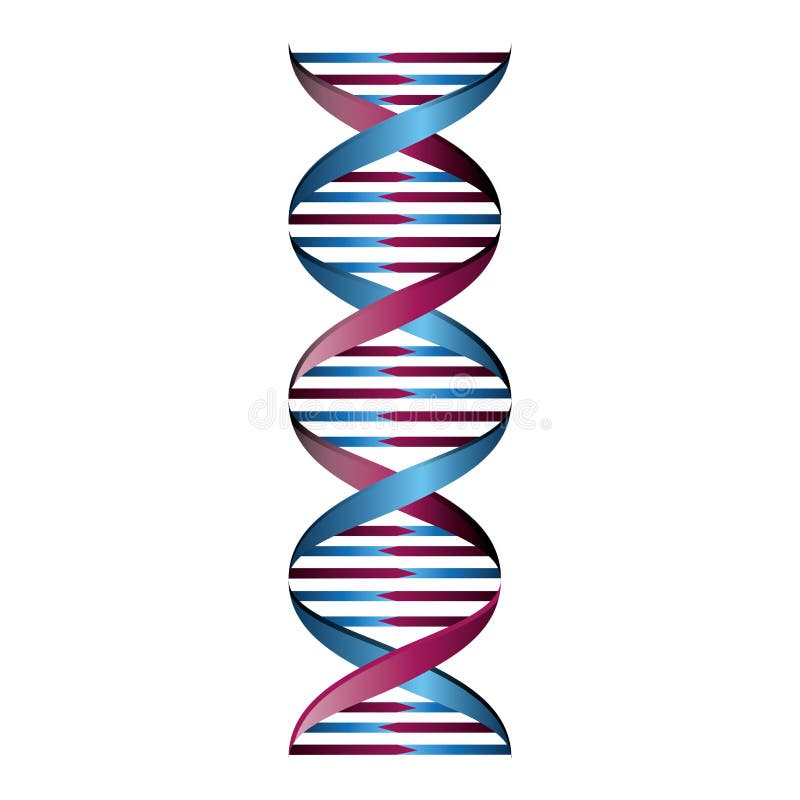 Molecular structure of DNA stock vector. Illustration of design - 81058568