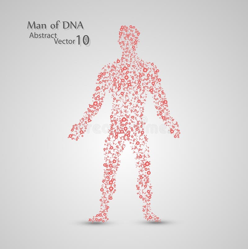 Molecular Structure in the Form of Man Stock Vector - Illustration of ...