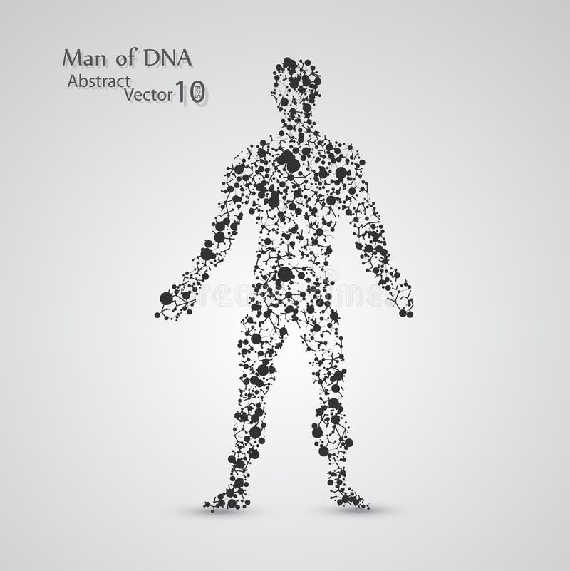 Molecular Structure in the Form of Man Stock Vector - Illustration of ...