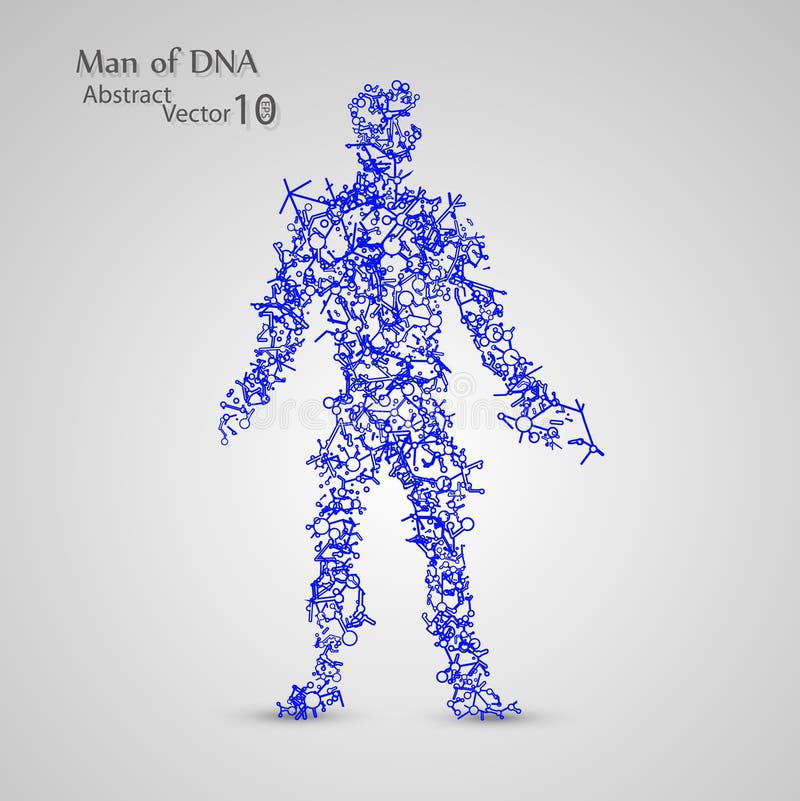 Molecular Structure in the Form of Man Stock Vector - Illustration of ...