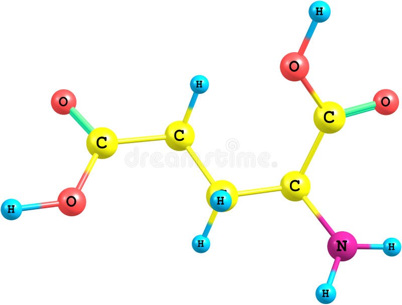 Molecular Structure of Glutamic Acid Isolated on White Background Stock ...