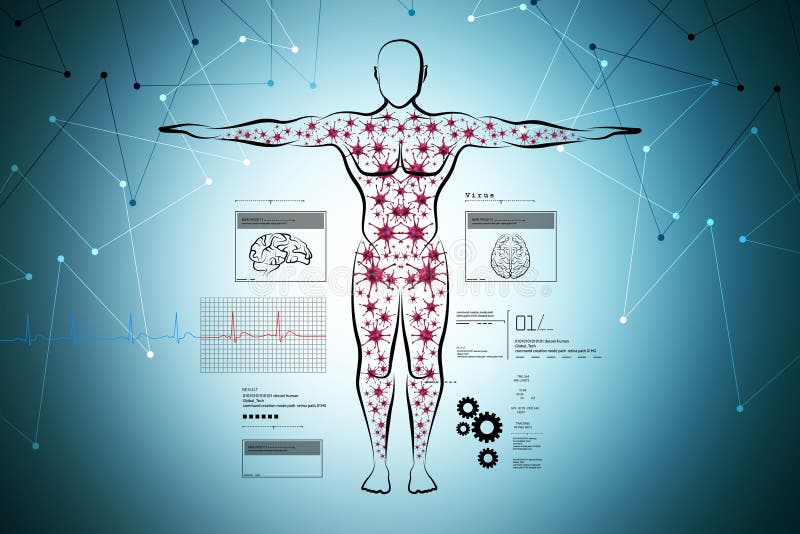 Human Body Molecular Structure Stock Illustration - Illustration of ...