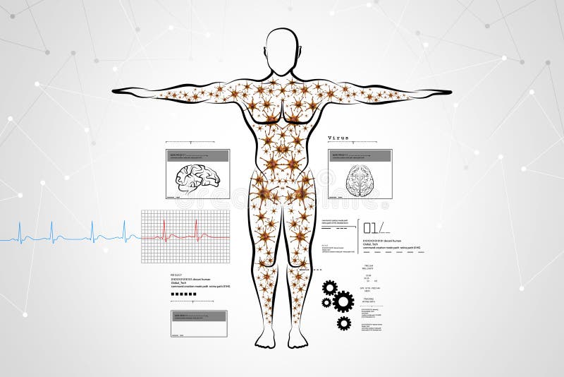 Molecular Structure of Human Body Stock Illustration - Illustration of ...