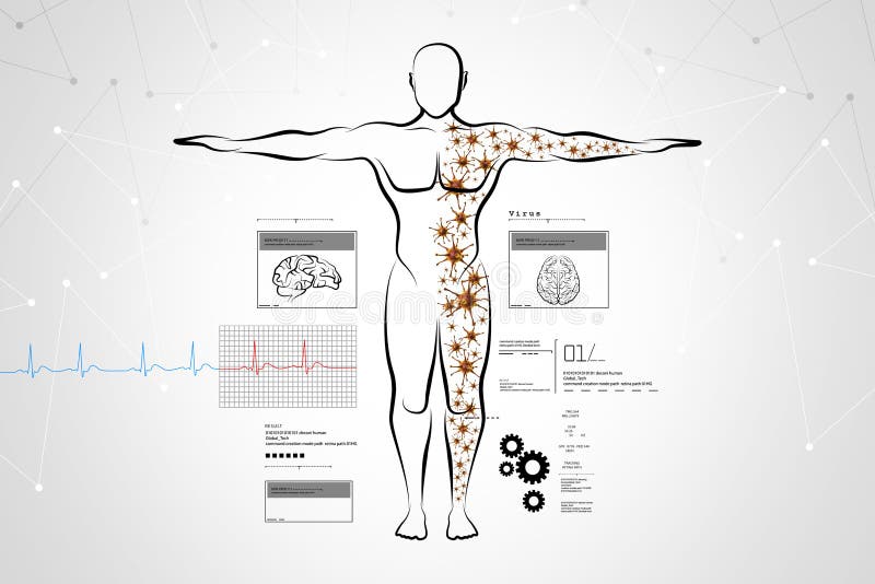 Molecular Structure of Human Body Stock Illustration - Illustration of ...