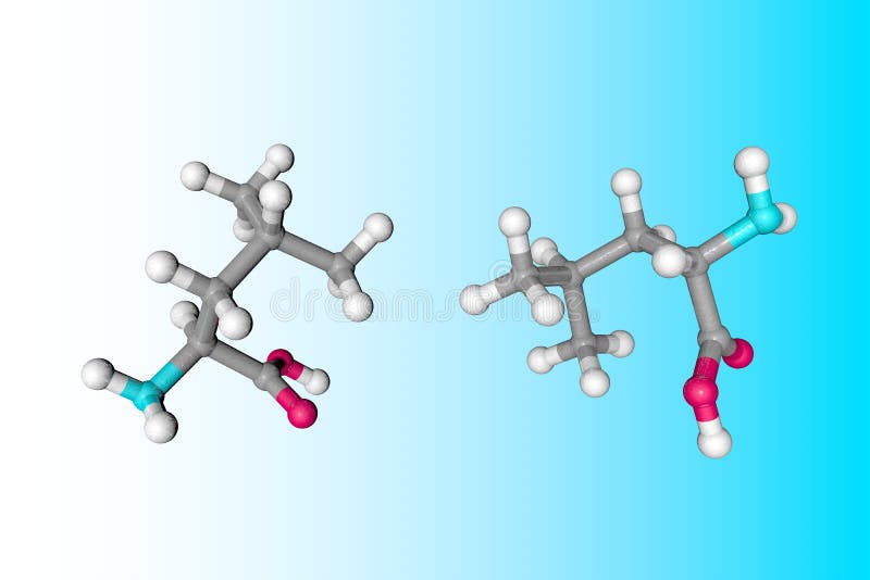 Leucine Molecular Structure. Leucine Skeletal Chemical Formula ...
