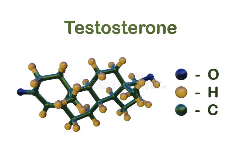 Testosterone Molecular Structure Stock Illustration Illustration Of