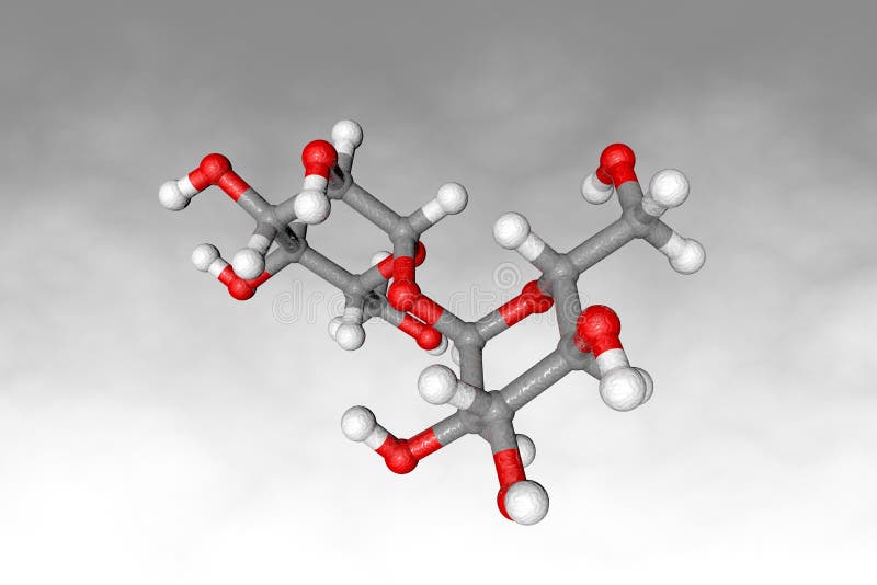 Molecular Structure of Trehalose. Atoms are Represented As Spheres with ...