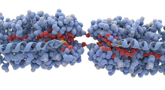 Molecular Structure Visualization of Molecule Protein Model Stock ...