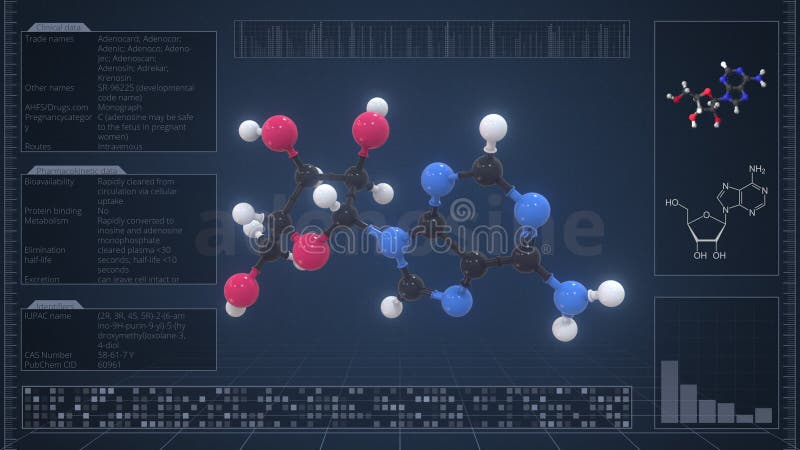 Molecule of Adenosine with Infographics on the Computer Monitor ...