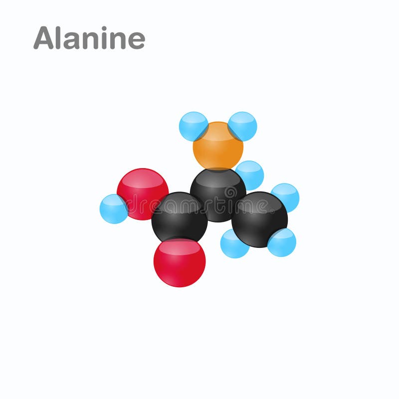 Alanine Ala amino acid stock vector. Illustration of proteins - 156578519